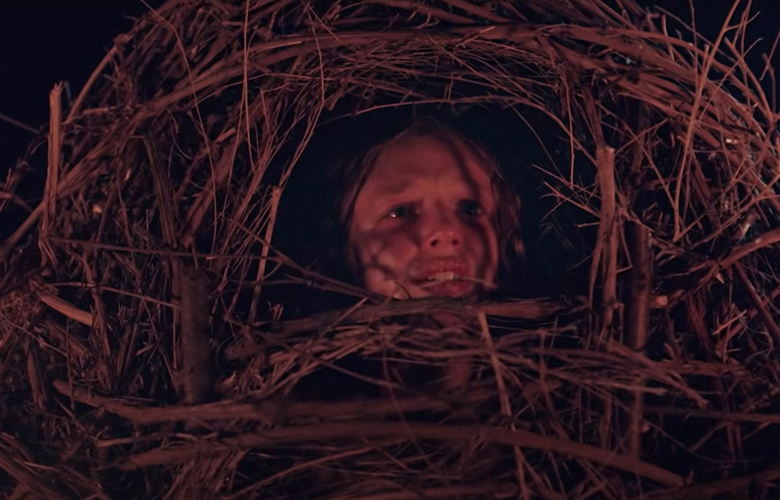 Foreign Horror Movies on Netflix 2023 | PS Entertainment