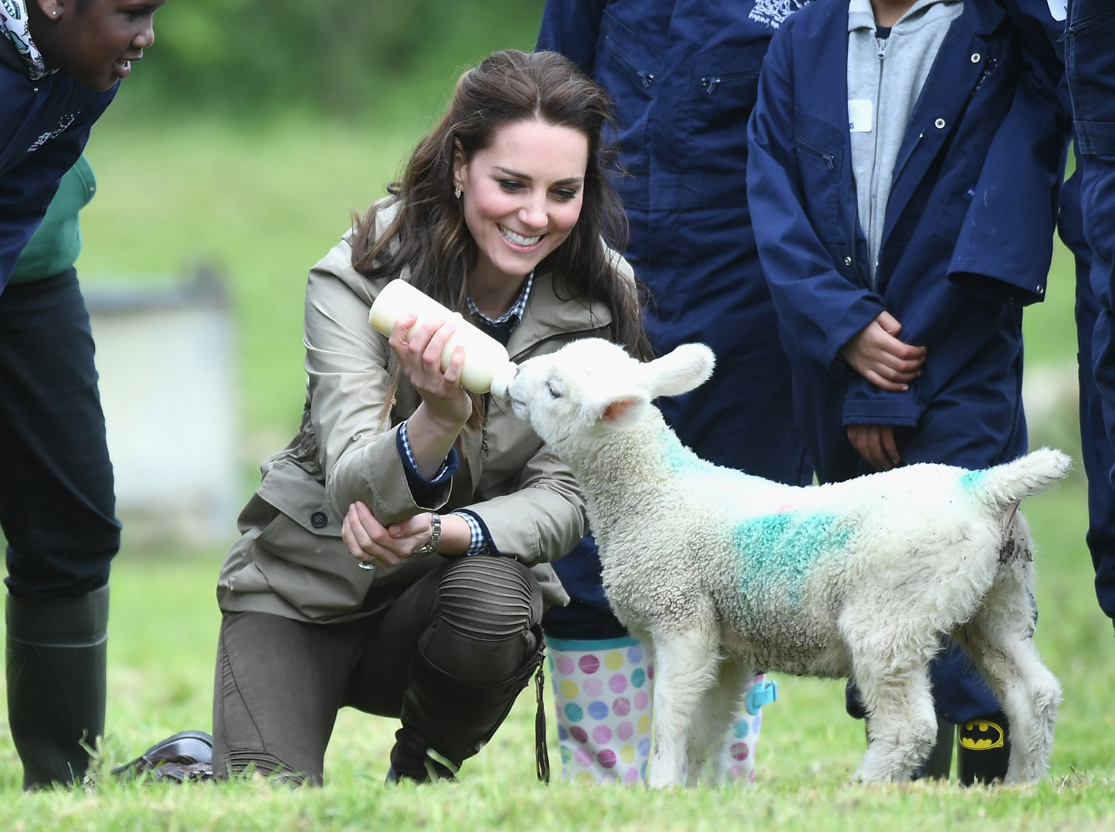 Kate Middleton Feeding a Lamb Pictures May 2017 | PS Celebrity