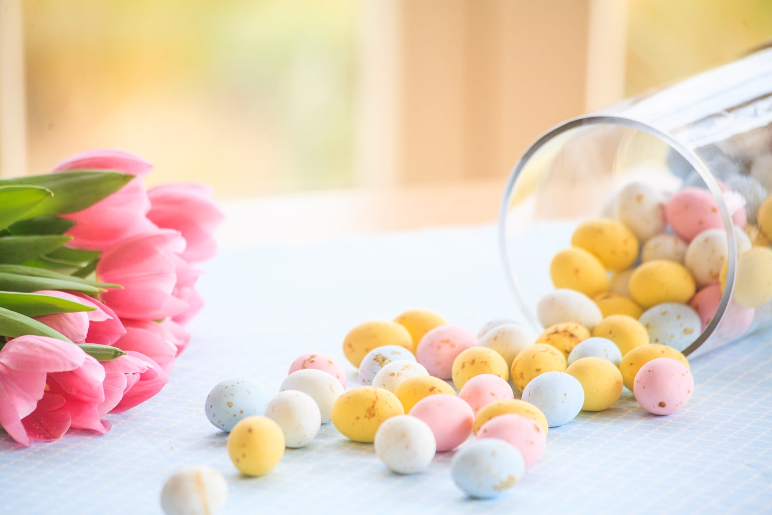 30+ Pretty Photos of Spring to Remind You That It's Coming! | PS Smart ...