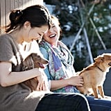 Tips For Taking Your Dog to the Dog Park | POPSUGAR Pets