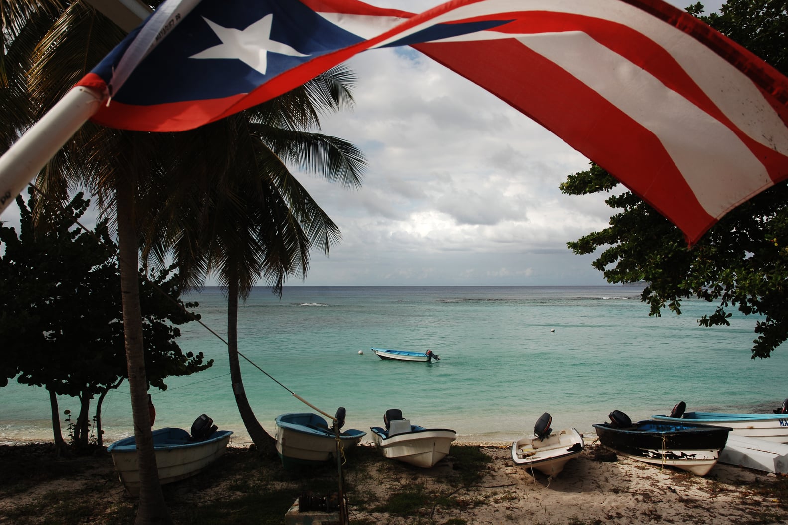 The 2024 Presidential Election Can Still Shape Puerto Rico | PS Celebrity