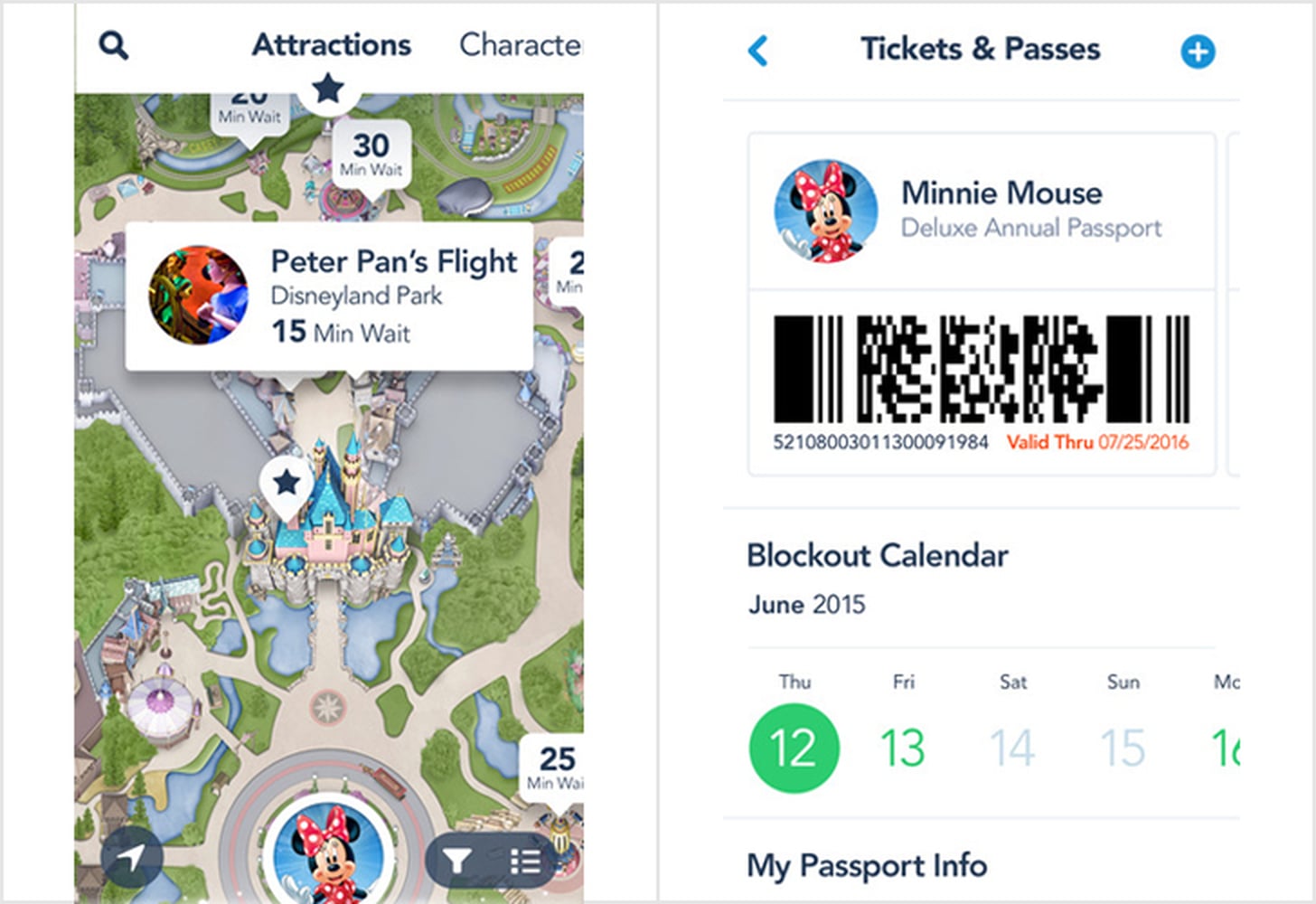 Disneyland App | PS Tech