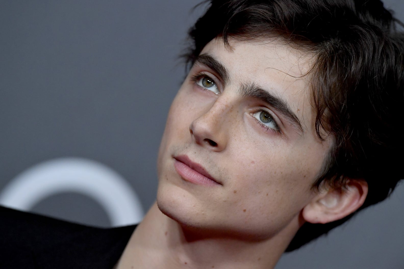 An Ode to Timothée Chalamet's Insanely Chiseled Jawline | PS Celebrity