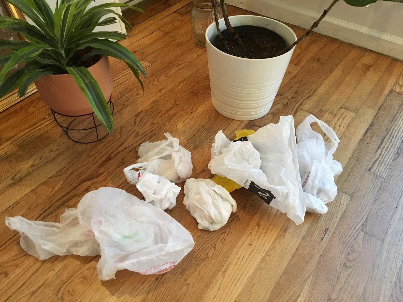 What It's Like to Live Waste-Free | PS Smart Living