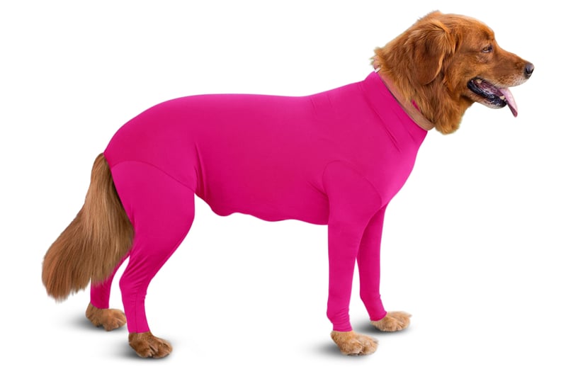 Shed Defender Dog Leotards | POPSUGAR Family