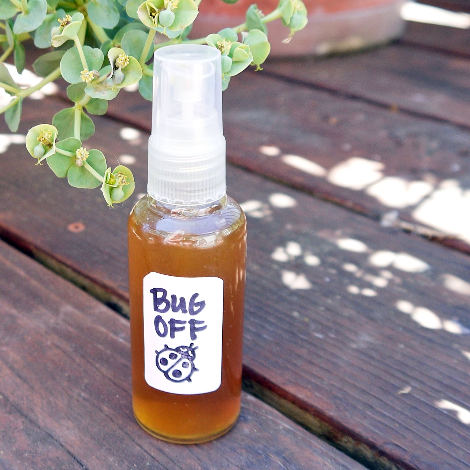 How to Make Natural Insect Repellant | PS Smart Living