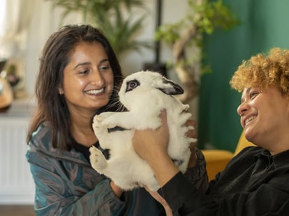 9 Best Small Pets For Cuddling | POPSUGAR Pets