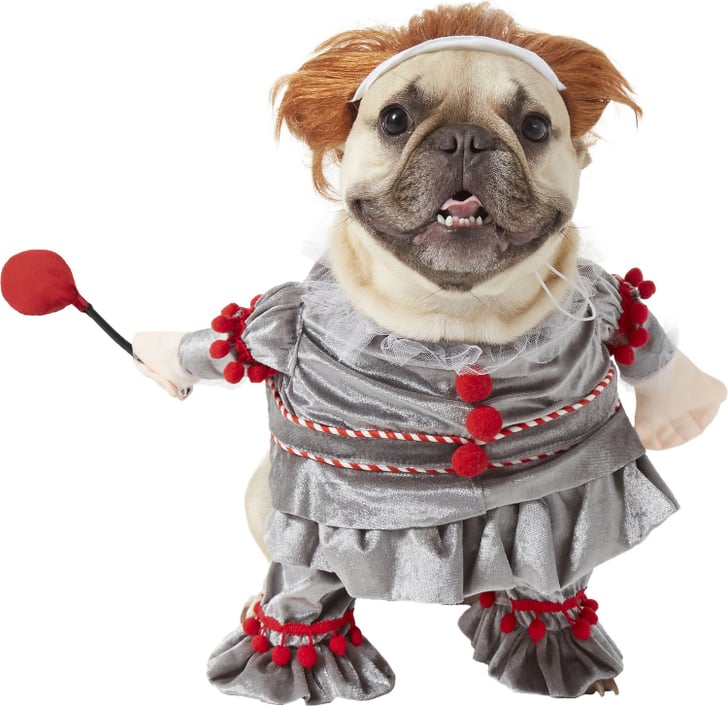 Rubie's Costume Company Pennywise Dog Costume, Size Large | This ... Rubie's Costume Company Pennywise Dog Costume, Size Large | This ...