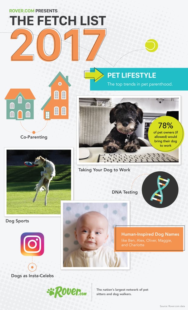 2017 Dog Trends | POPSUGAR Pets