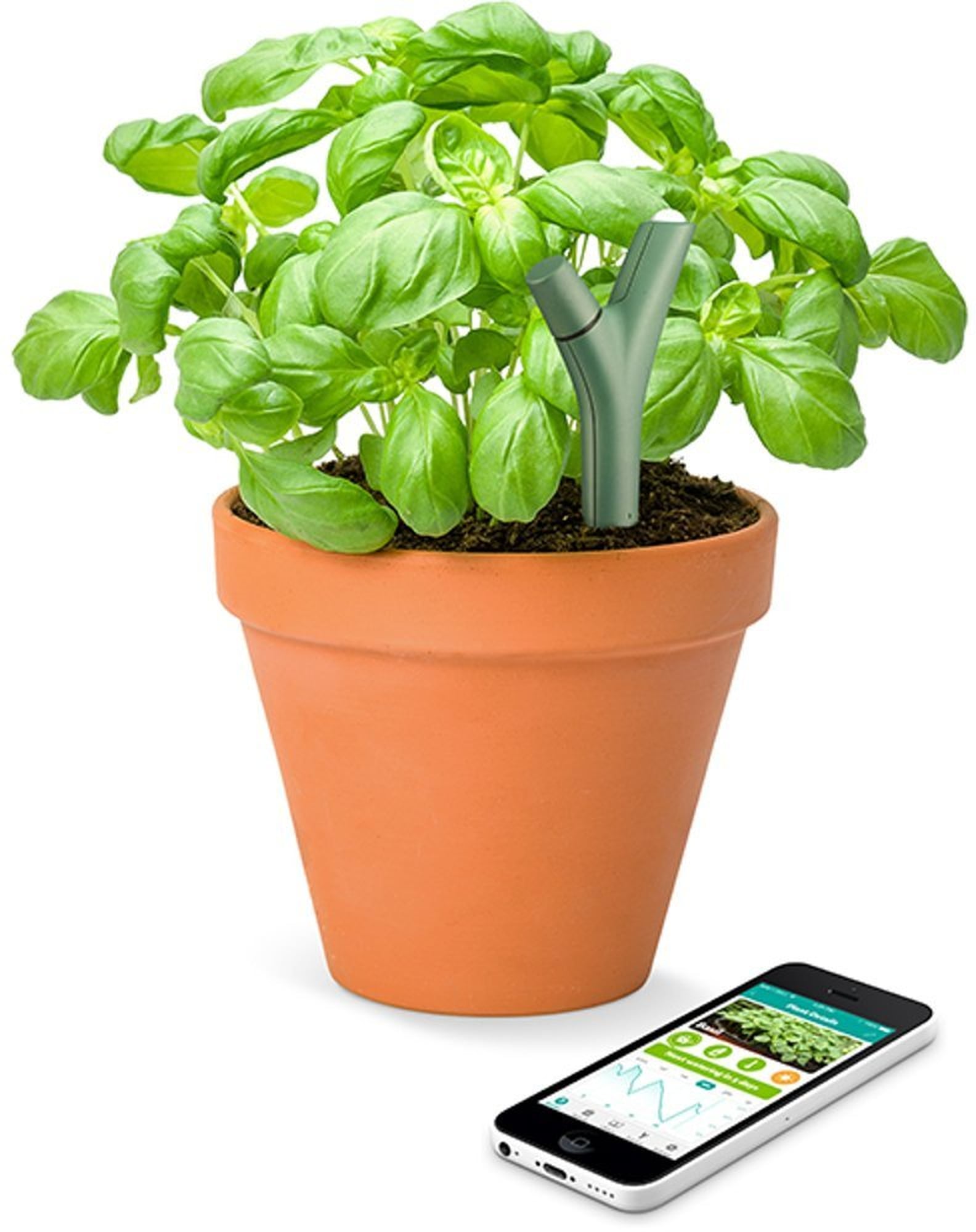 Tech-Savvy Gardening Products | PS Home