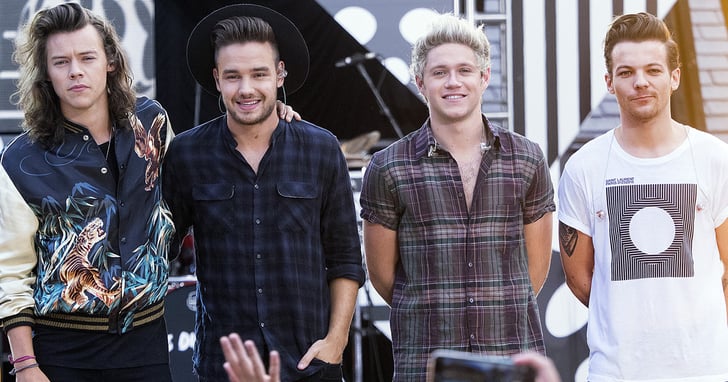 Wait — Did One Direction Just Break Up? | POPSUGAR Celebrity UK