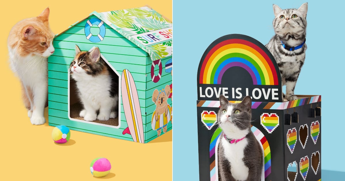 Best Summer Cat Scratch Houses at Target | PS Pets