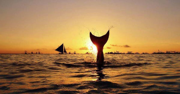 Mermaid Workout Fitness Trend | POPSUGAR Fitness