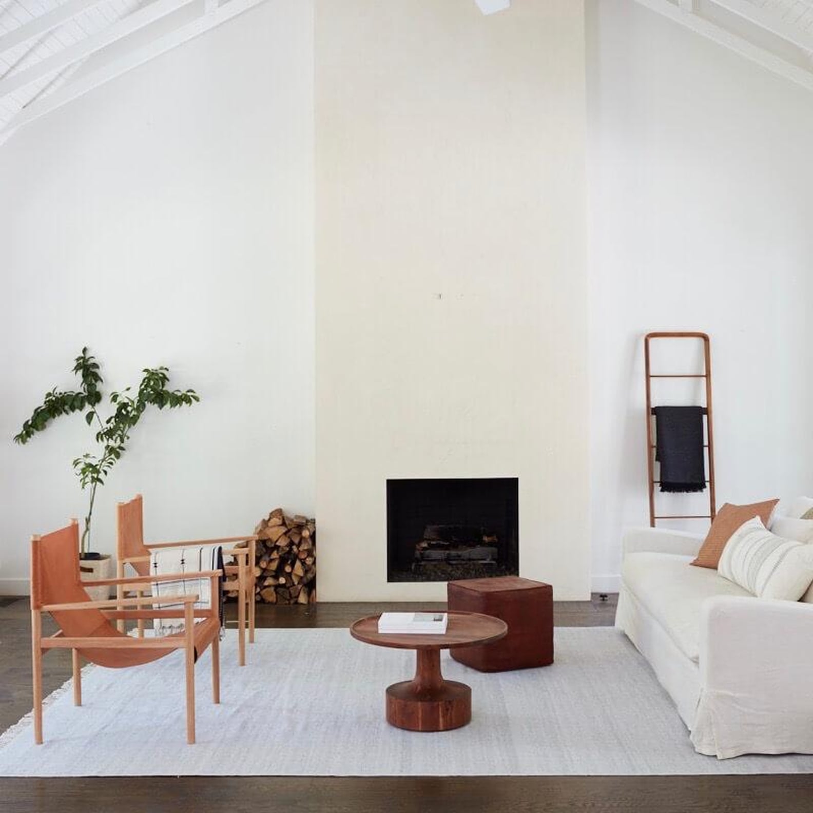 Best Home Products From The Citizenry | PS Home