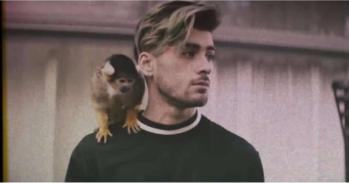 Zayn Malik's "Still Got Time" Music Video | POPSUGAR Entertainment