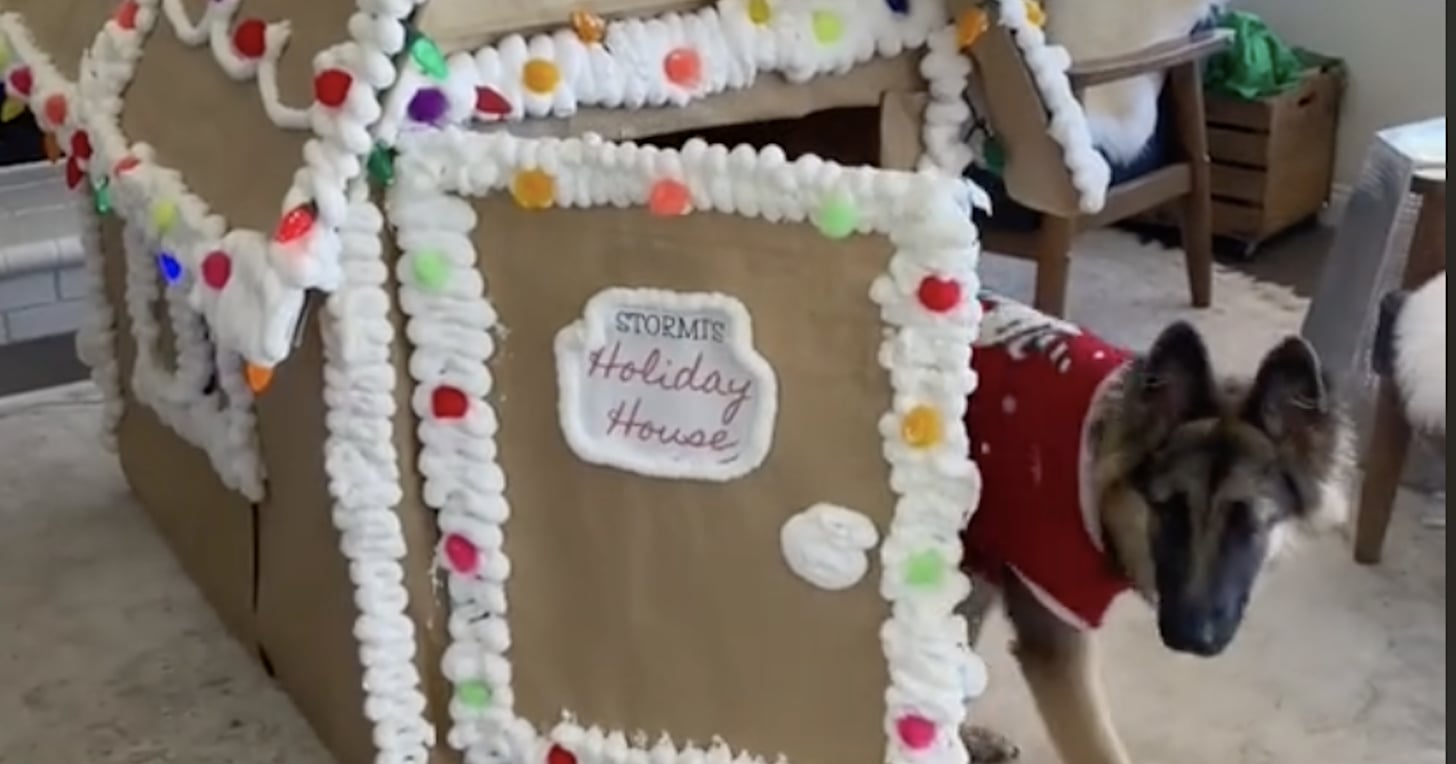 how to make gingerbread dog