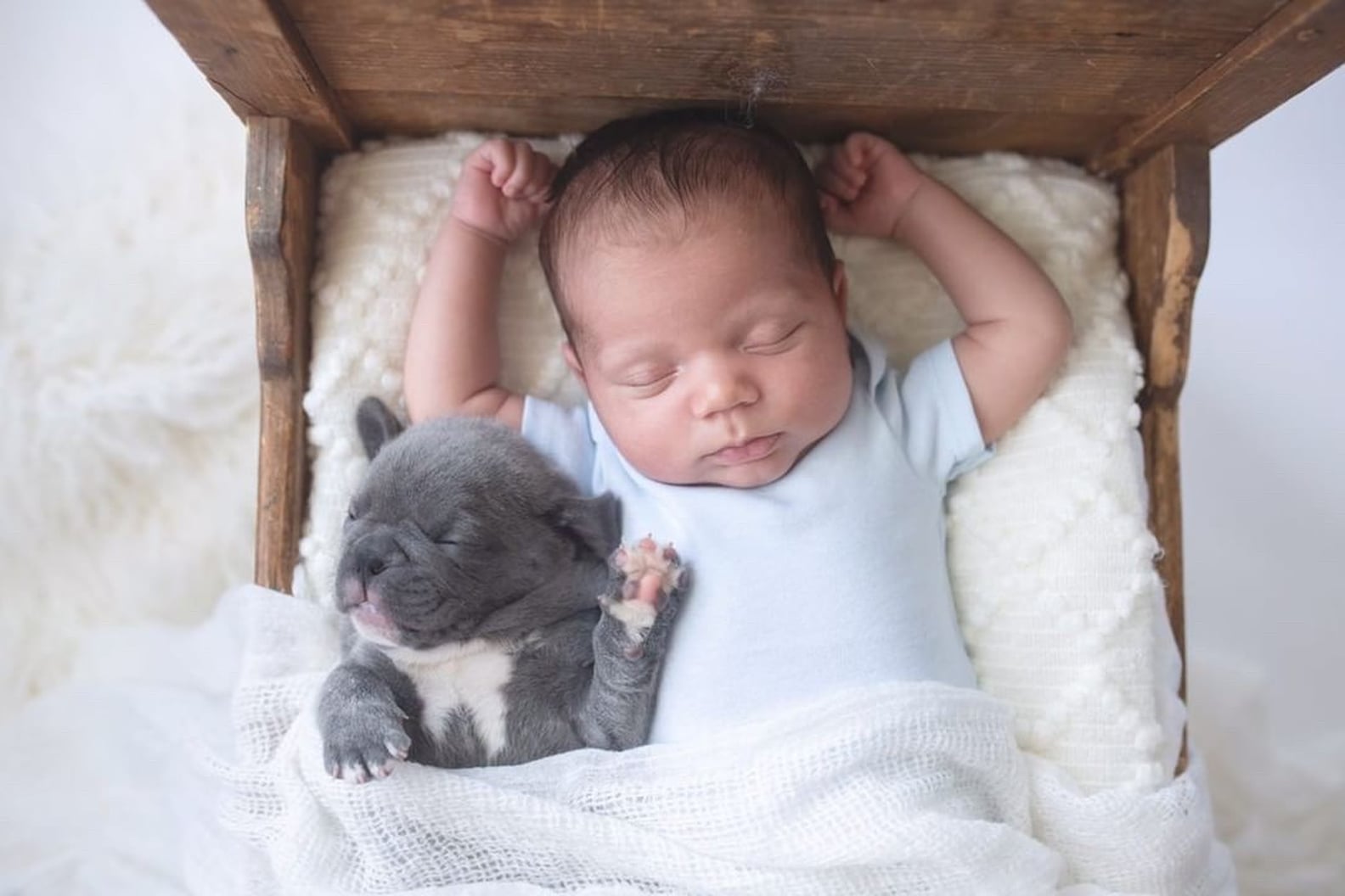 Cute Pictures of Dogs Napping With Kids and Babies | PS Family