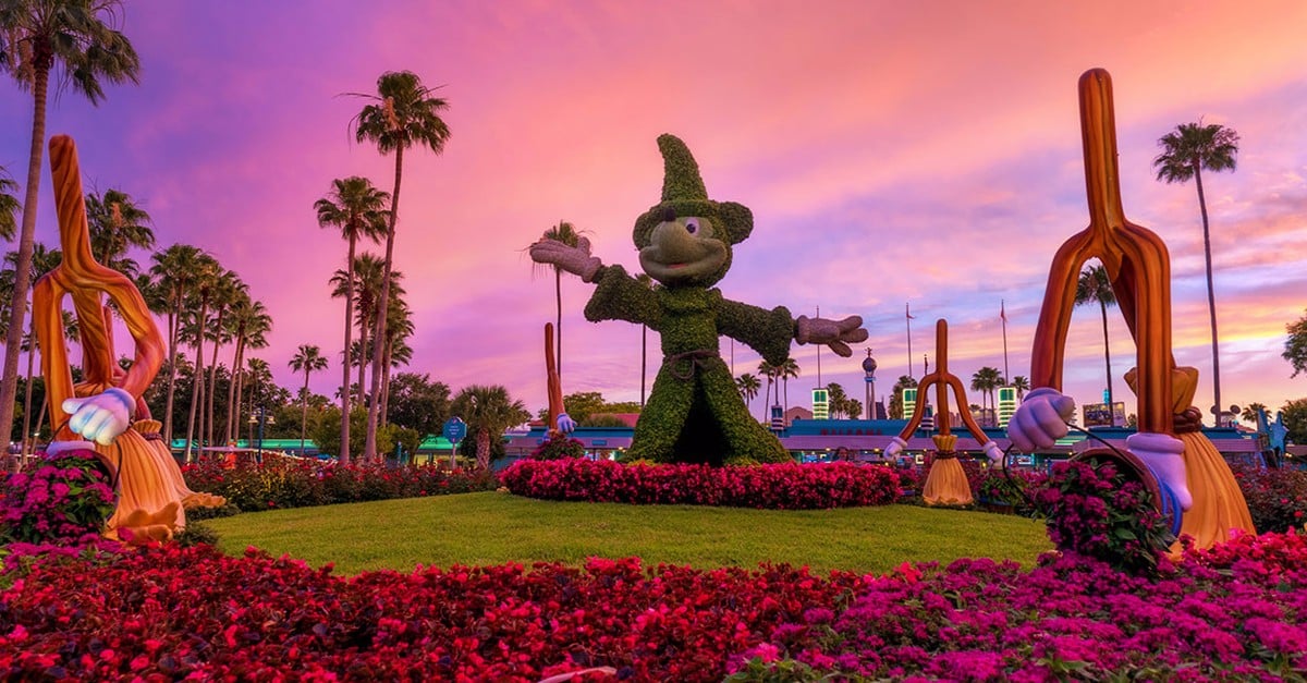 Disney Parks After Dark Photos | PS Smart Living