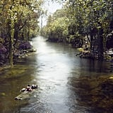 The Jungle Book Movie Pictures | POPSUGAR Entertainment