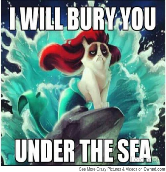 The Internet's Most Hilarious Little Mermaid Memes | PS Tech