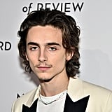 Timothée Chalamet's Mustache Has Divided the Internet | POPSUGAR Beauty