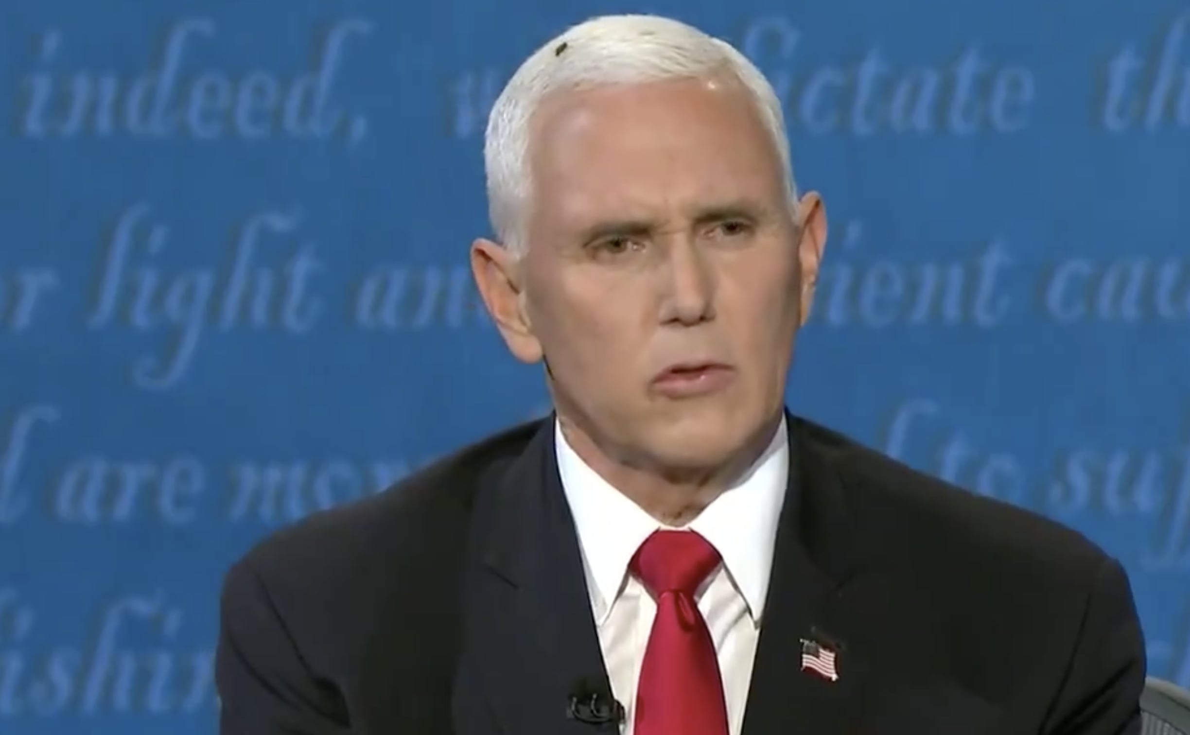 Fly Lands on Mike Pence's Head Vice Presidential Debate | POPSUGAR News