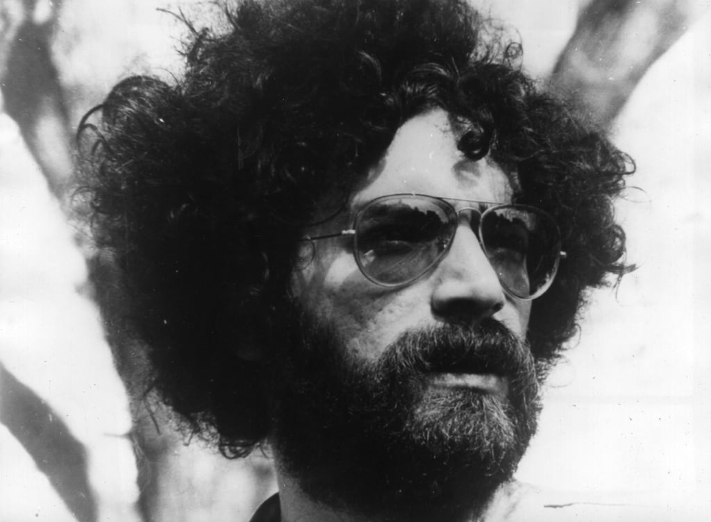 Who Were The Chicago 7 and What Happened to Them? | POPSUGAR Entertainment