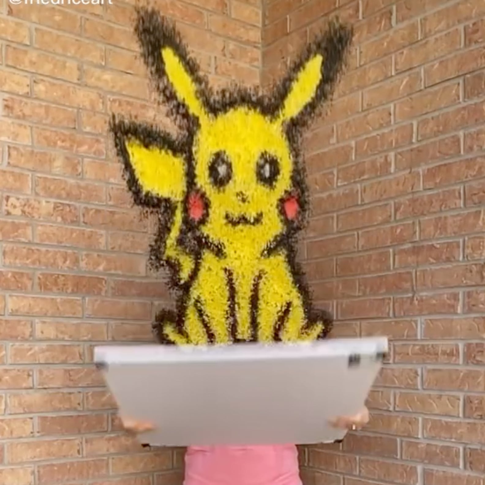 Best FriedRiceArt Videos | TikTok | PS Smart Living