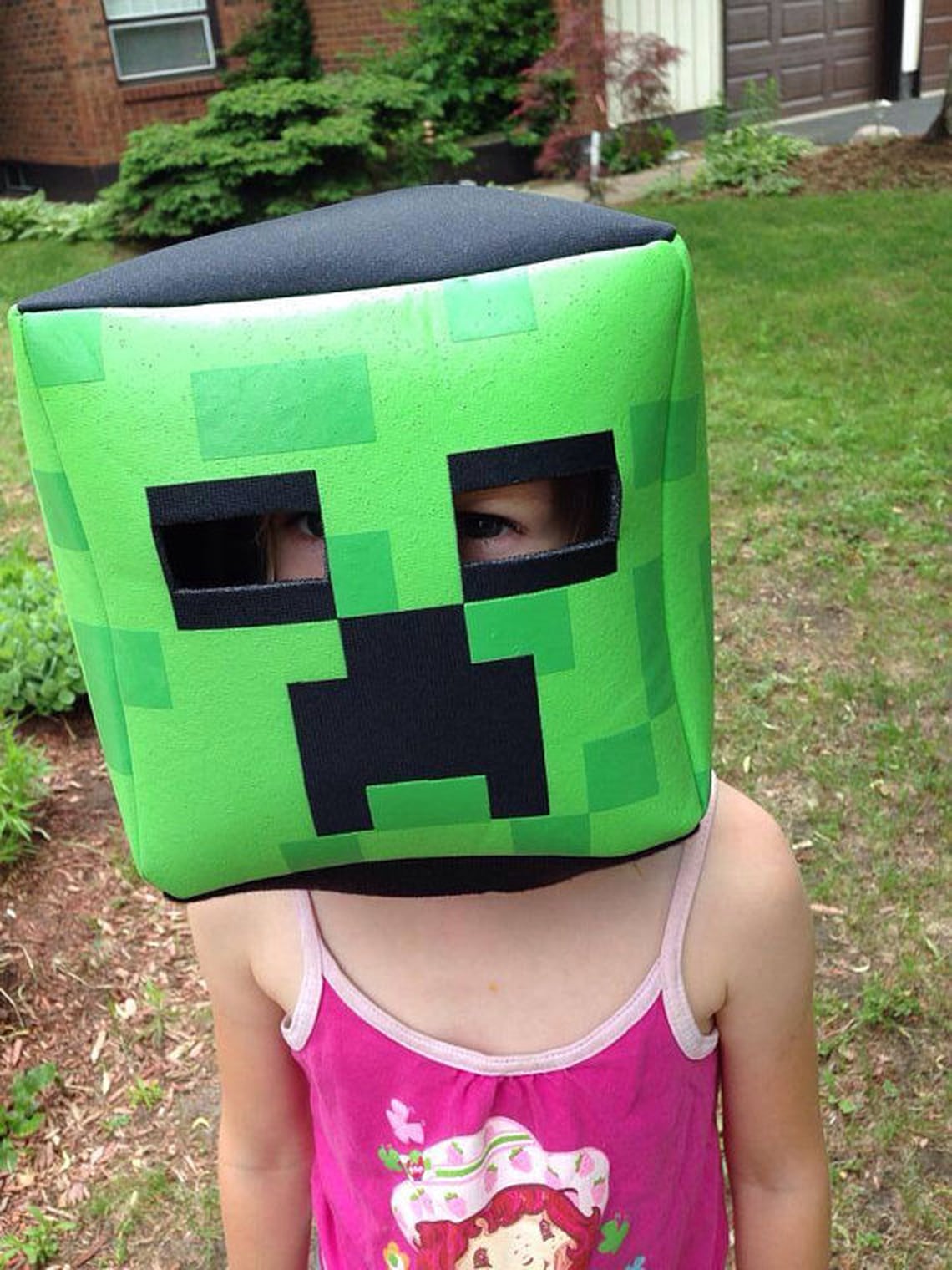 Minecraft Costumes For Kids | PS Family