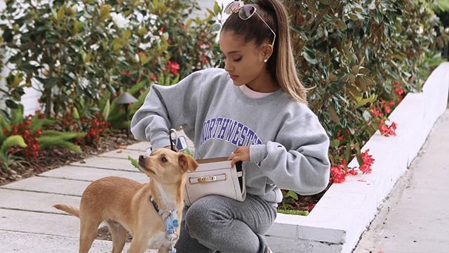 Celebrities and Their Pets | POPSUGAR Pets