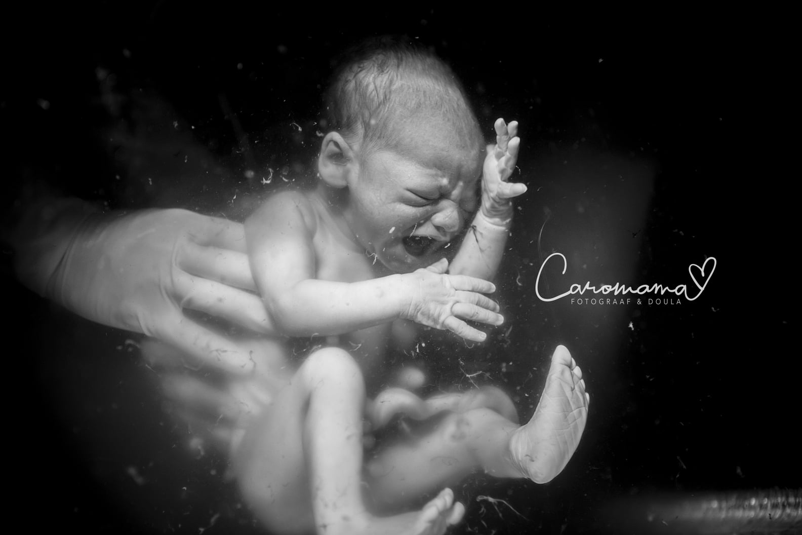 Birth Becomes Her Birth Photography Contest Winners 2018 | PS Family
