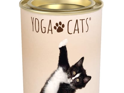 These Yoga Cat and Dog Hot Cocoa Mixes Make the Best Gift | POPSUGAR Food