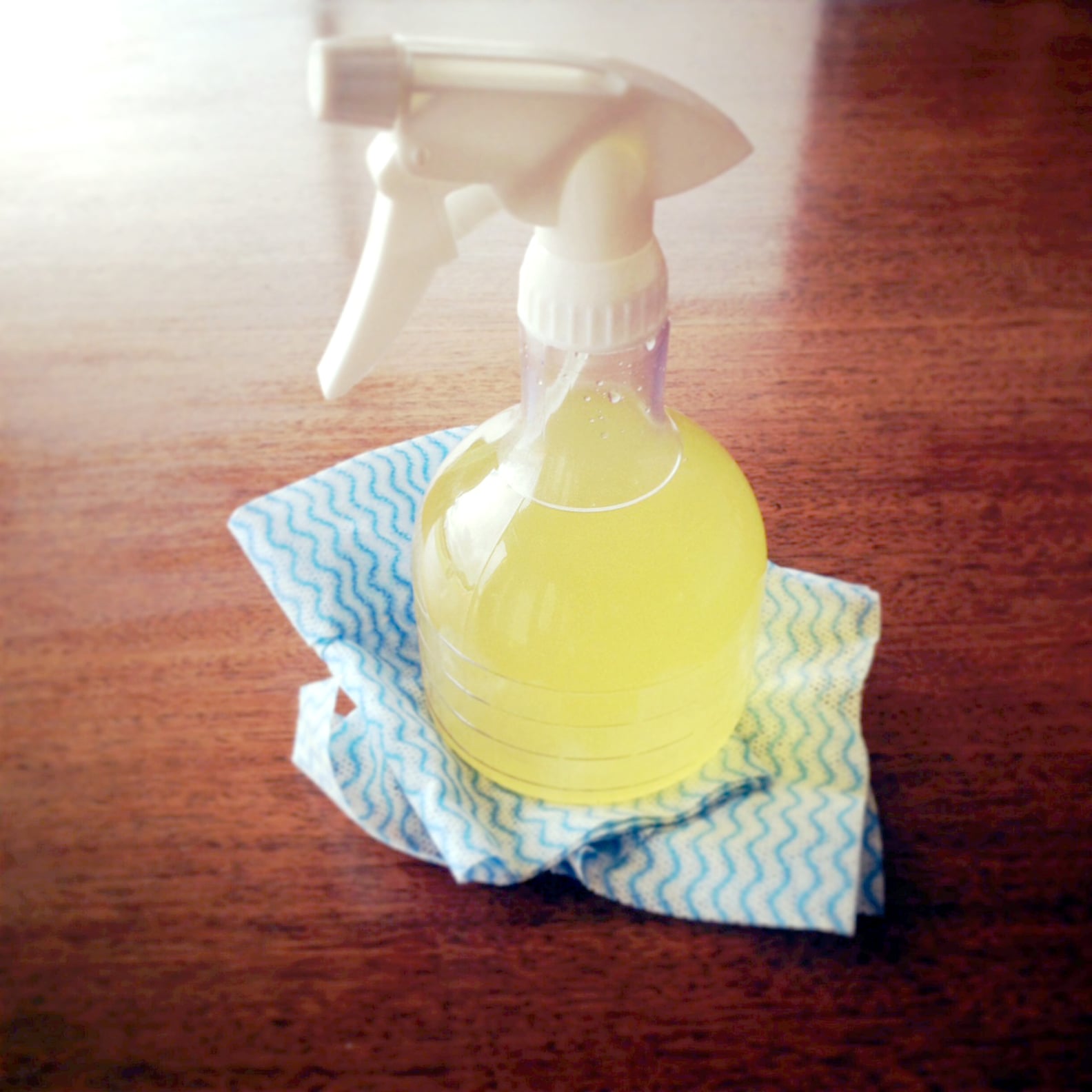 DIY Citrus Spray Cleaner | PS Smart Living