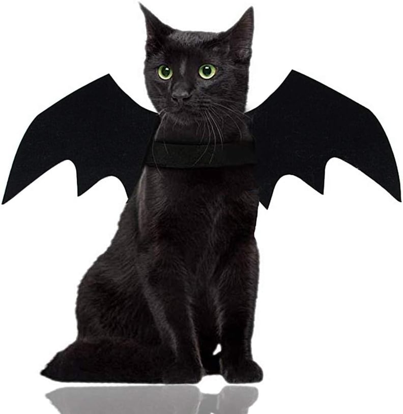 The Best Halloween Costumes For Pets | PS Pets