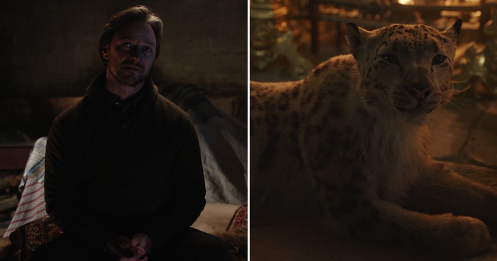 Who Are All of the Daemons on His Dark Materials? | POPSUGAR Entertainment