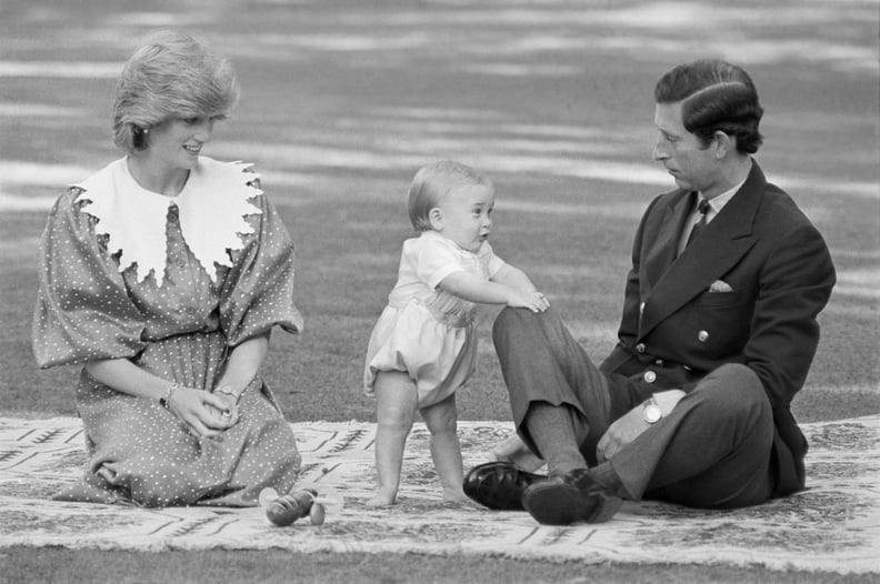 Princess Diana Taking Photos With Her Kids | PS Family