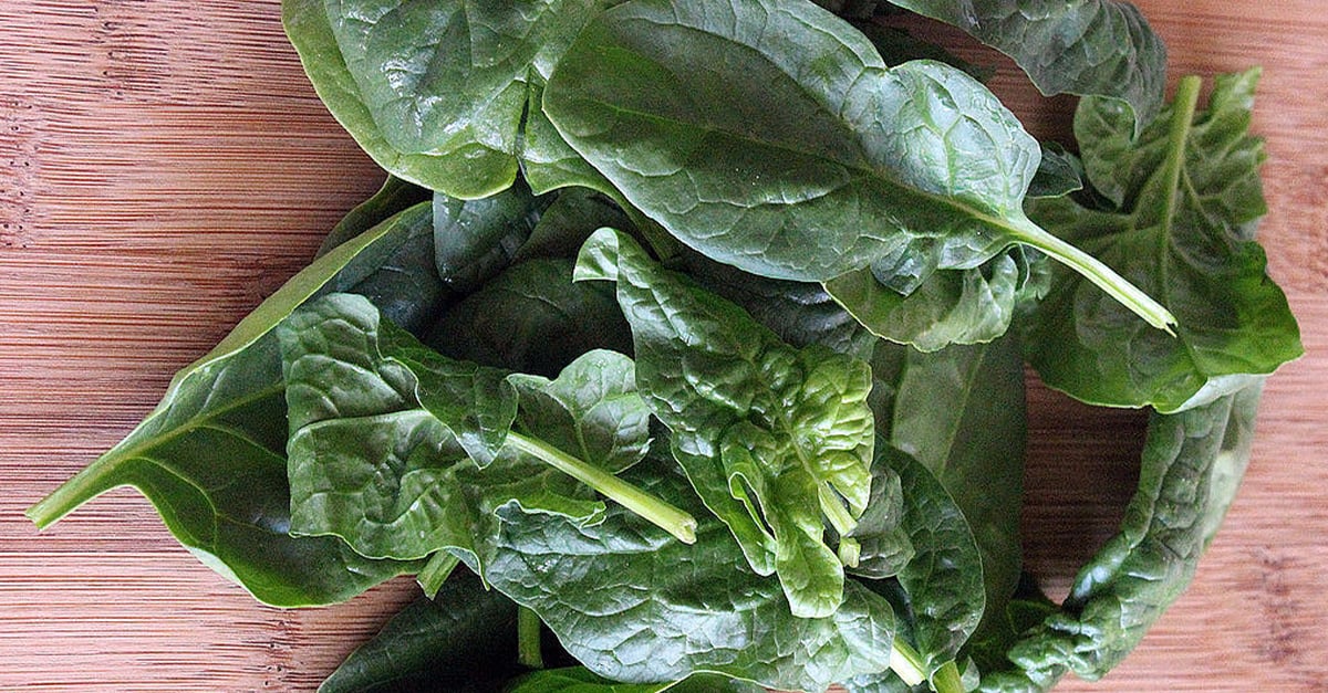 What Is Sorrel Spinach Dock? | POPSUGAR Fitness