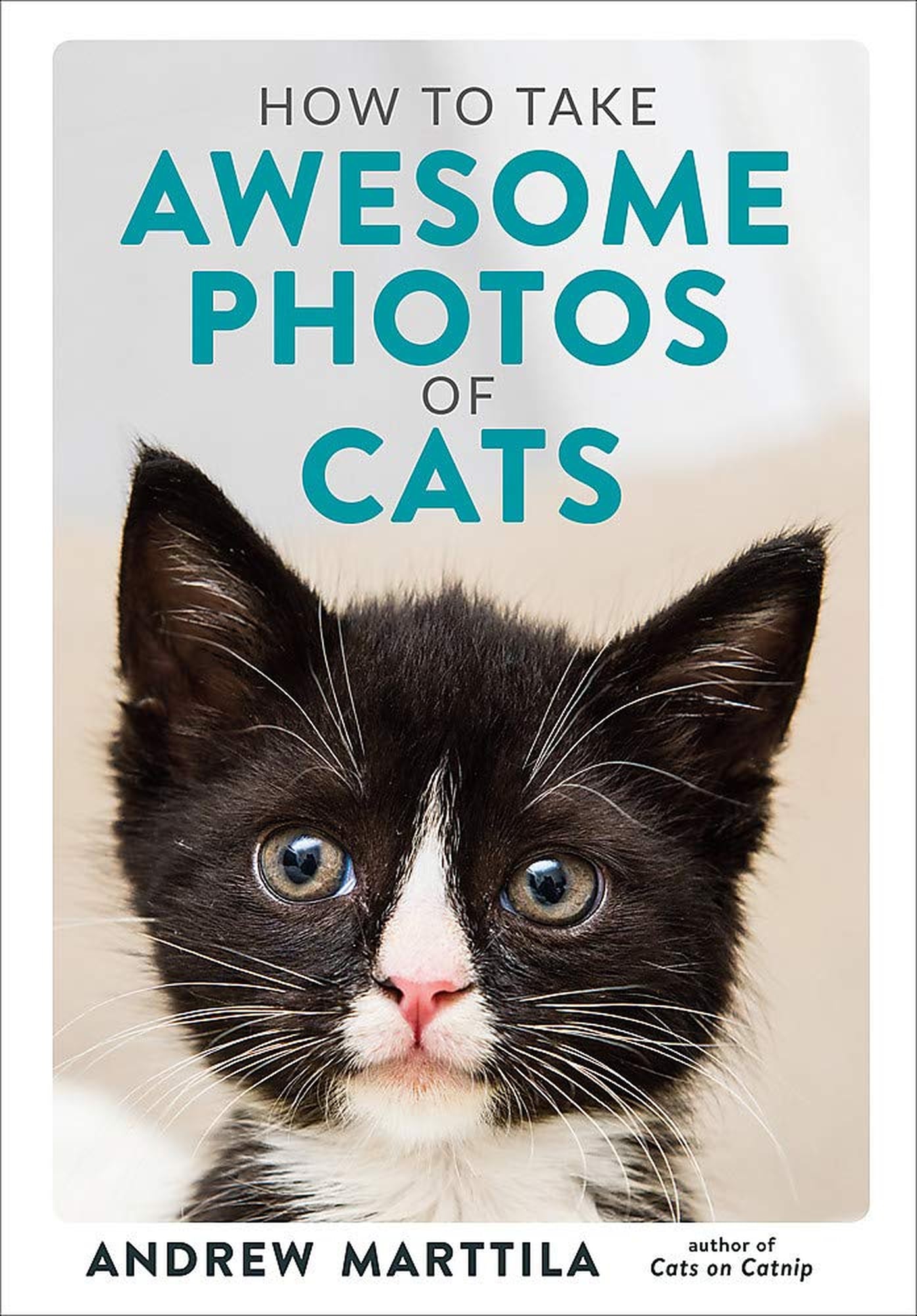 How to Take Awesome Photos of Cats | Book Excerpts | PS Pets