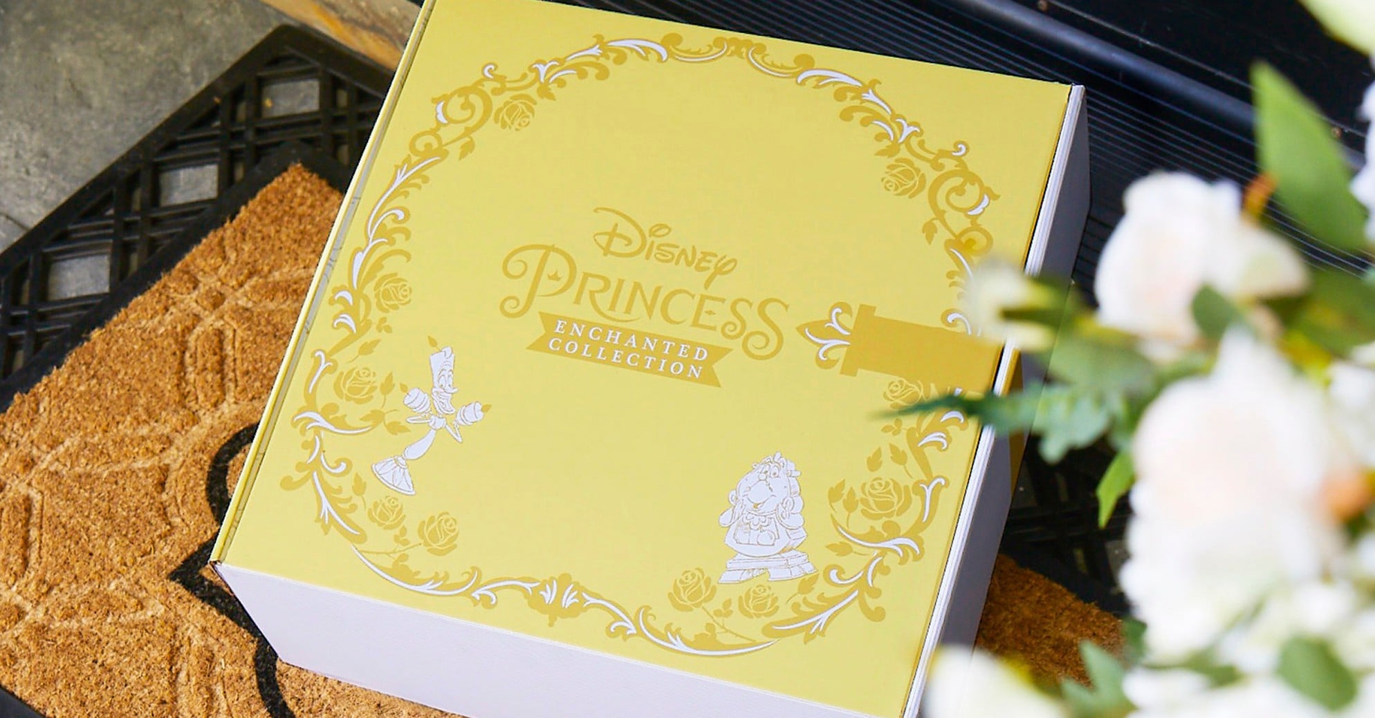 Disney Princess Subscription Boxes | PS Family