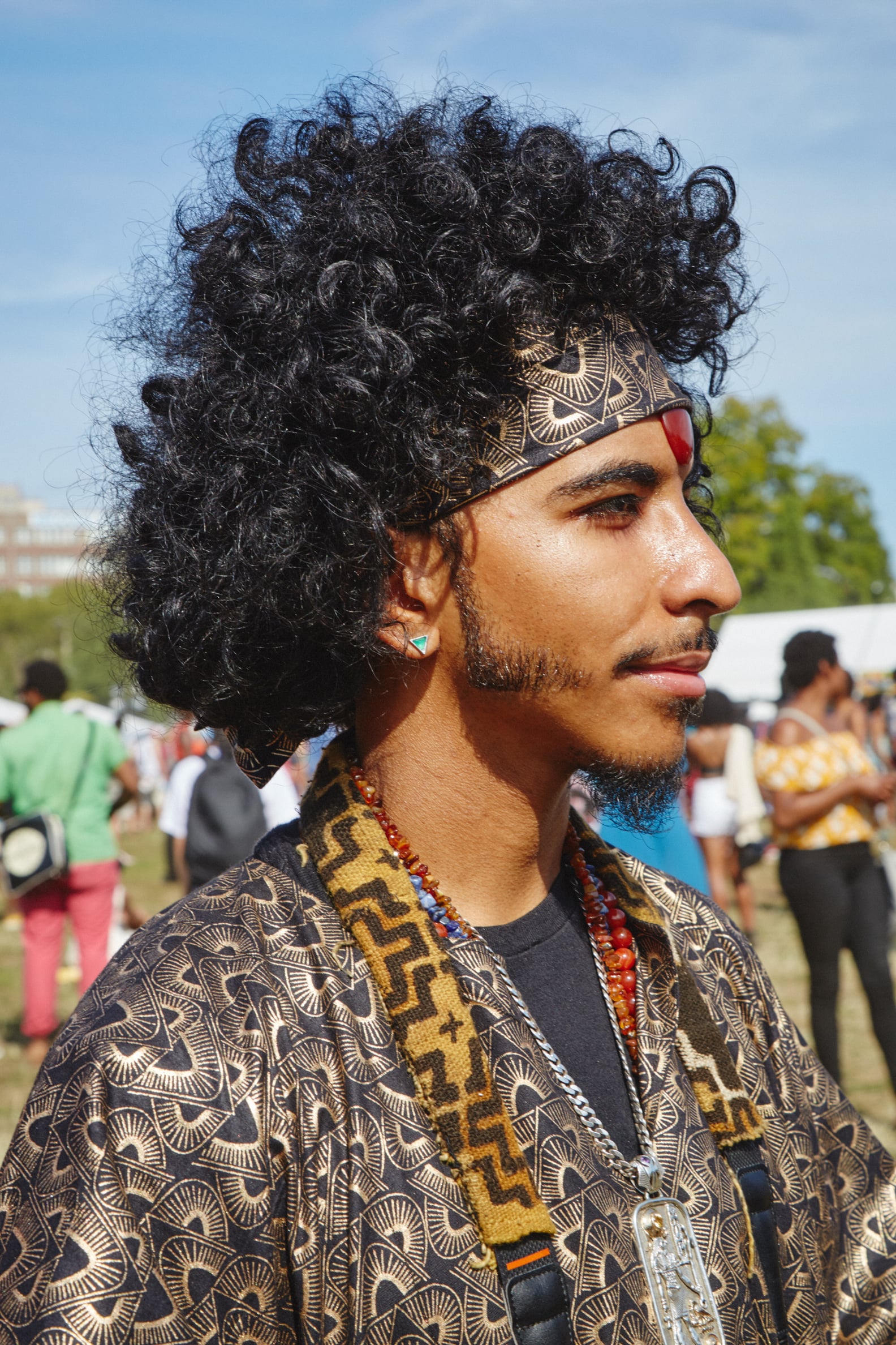 Natural Hair Inspiration | Afropunk 2016 | PS Beauty