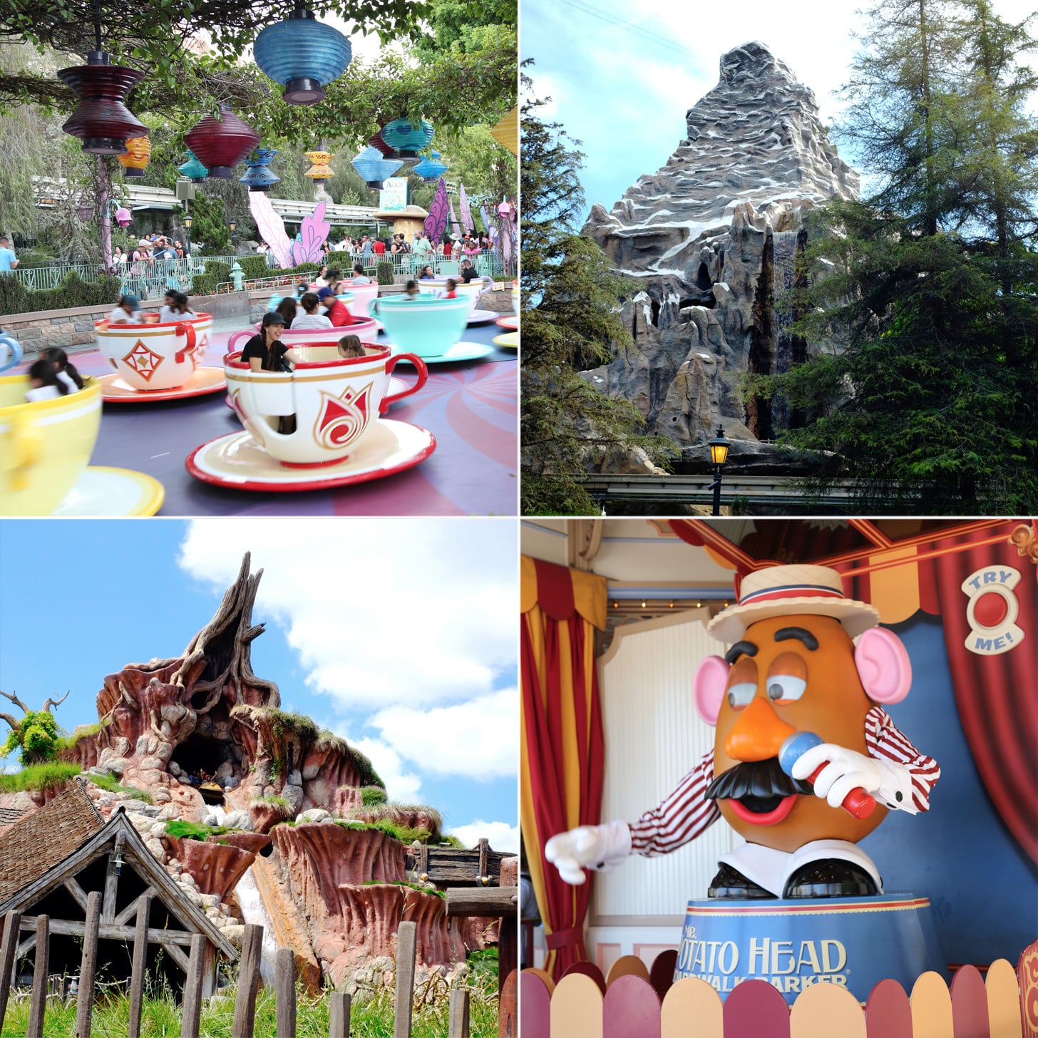 Disneyland Rides Ranked | PS Smart Living
