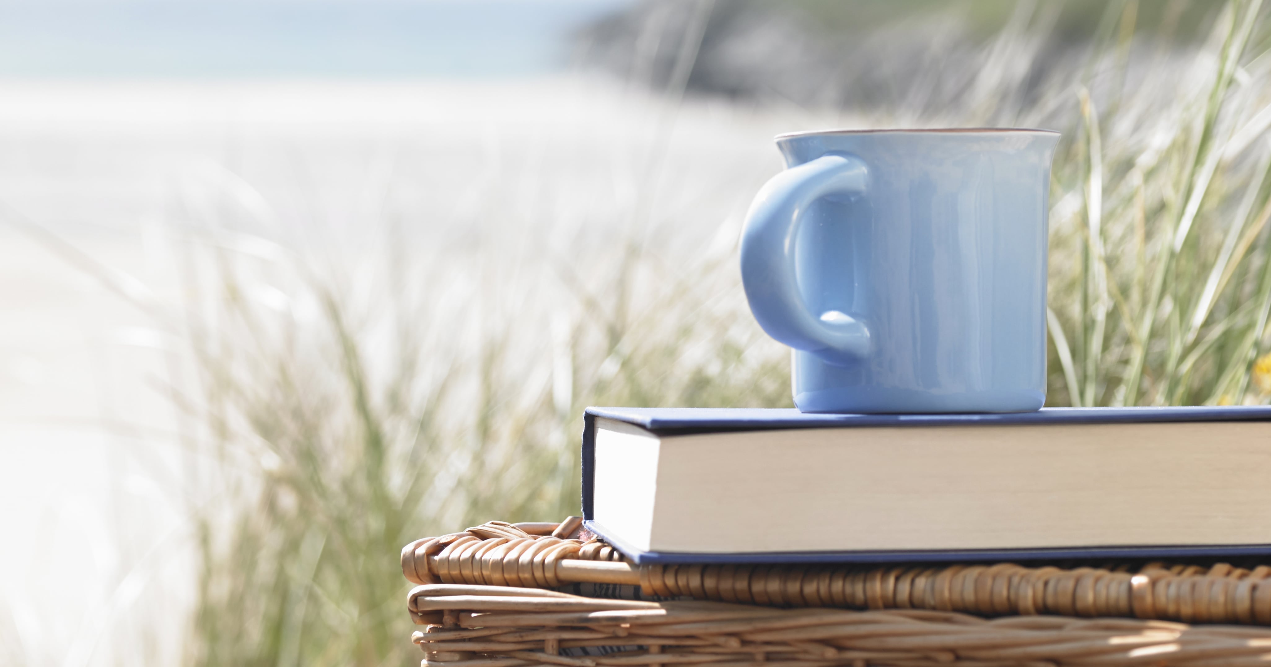 Favorite Summer Books 2019 | PS Entertainment