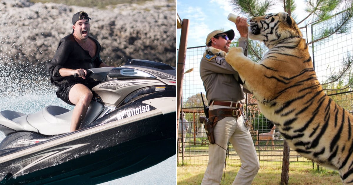 15 Movies and TV Shows to Watch After Tiger King on Netflix | POPSUGAR ...