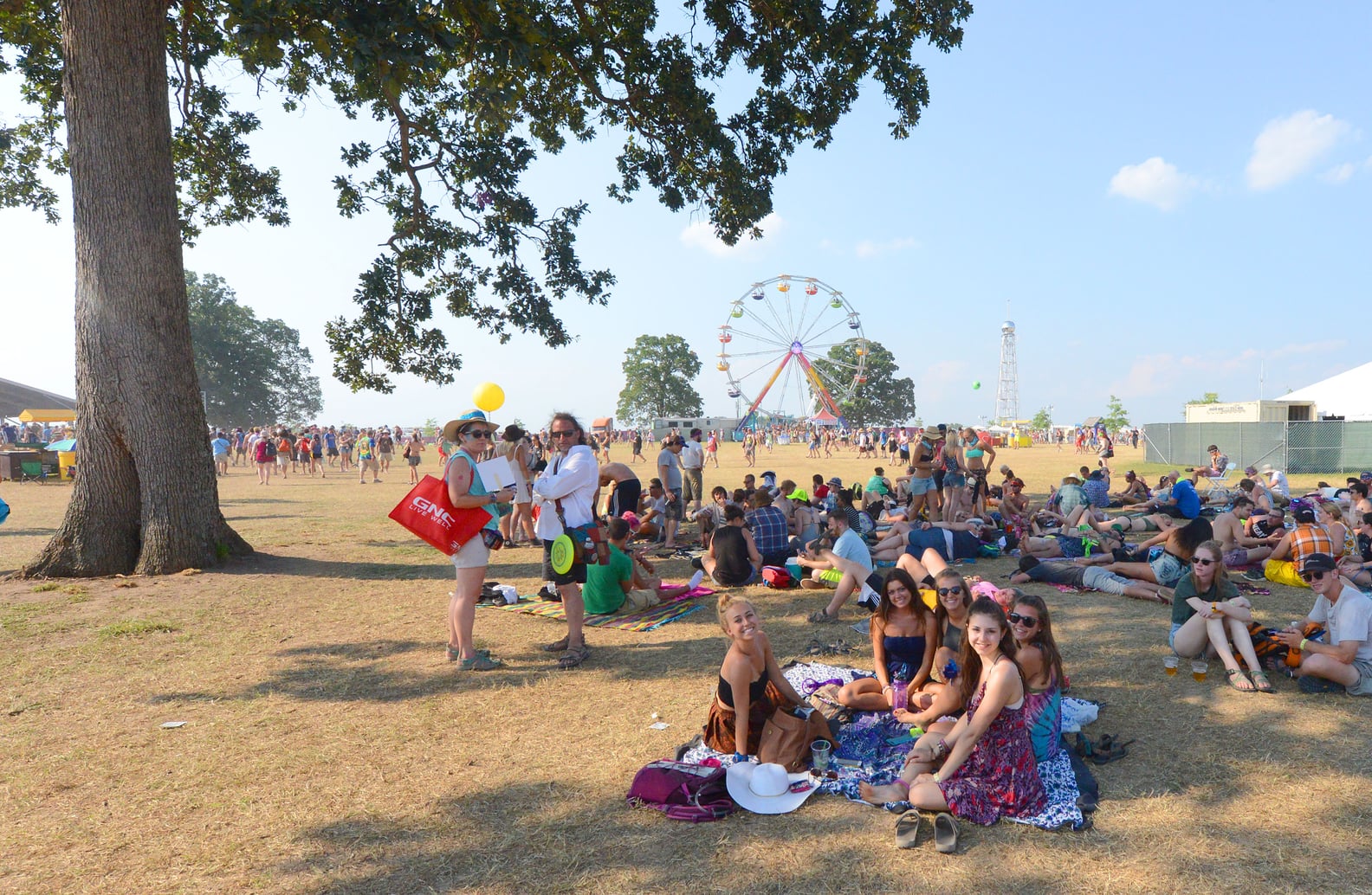 Should I Go to Bonnaroo? | PS Entertainment
