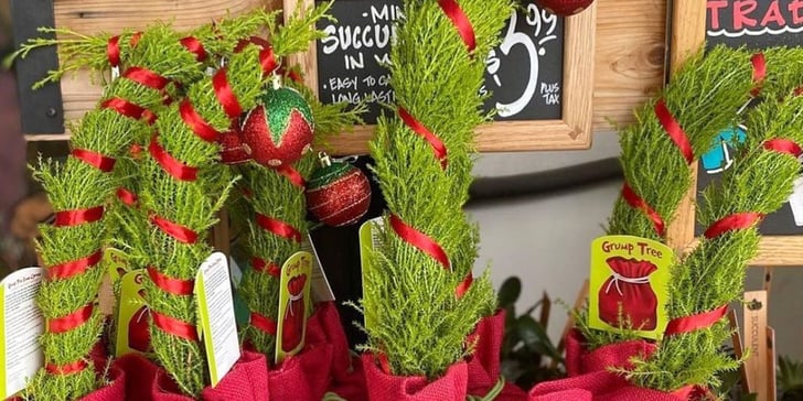 Trader Joe's Grinch Cypress Christmas Trees | POPSUGAR Home