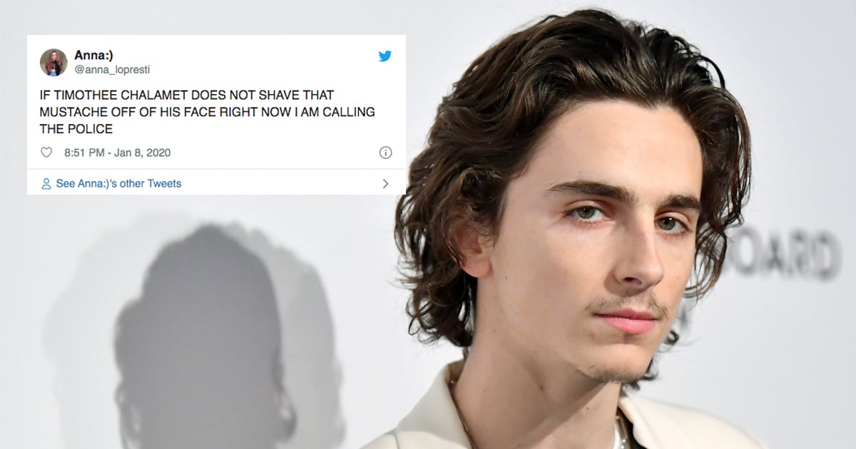 Timothée Chalamet's Mustache Has Divided the Internet | PS Beauty