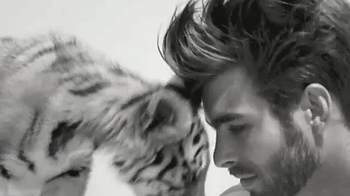 Hot Celebrity Guys With Cats | PS Pets