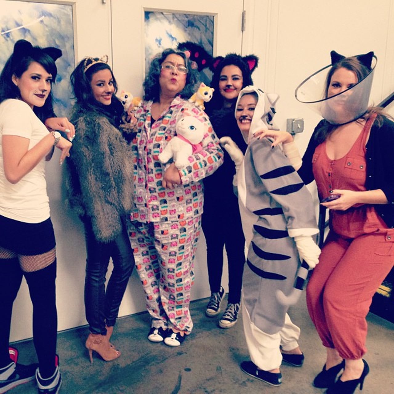 Costumes For People Who Love Cats | PS Smart Living