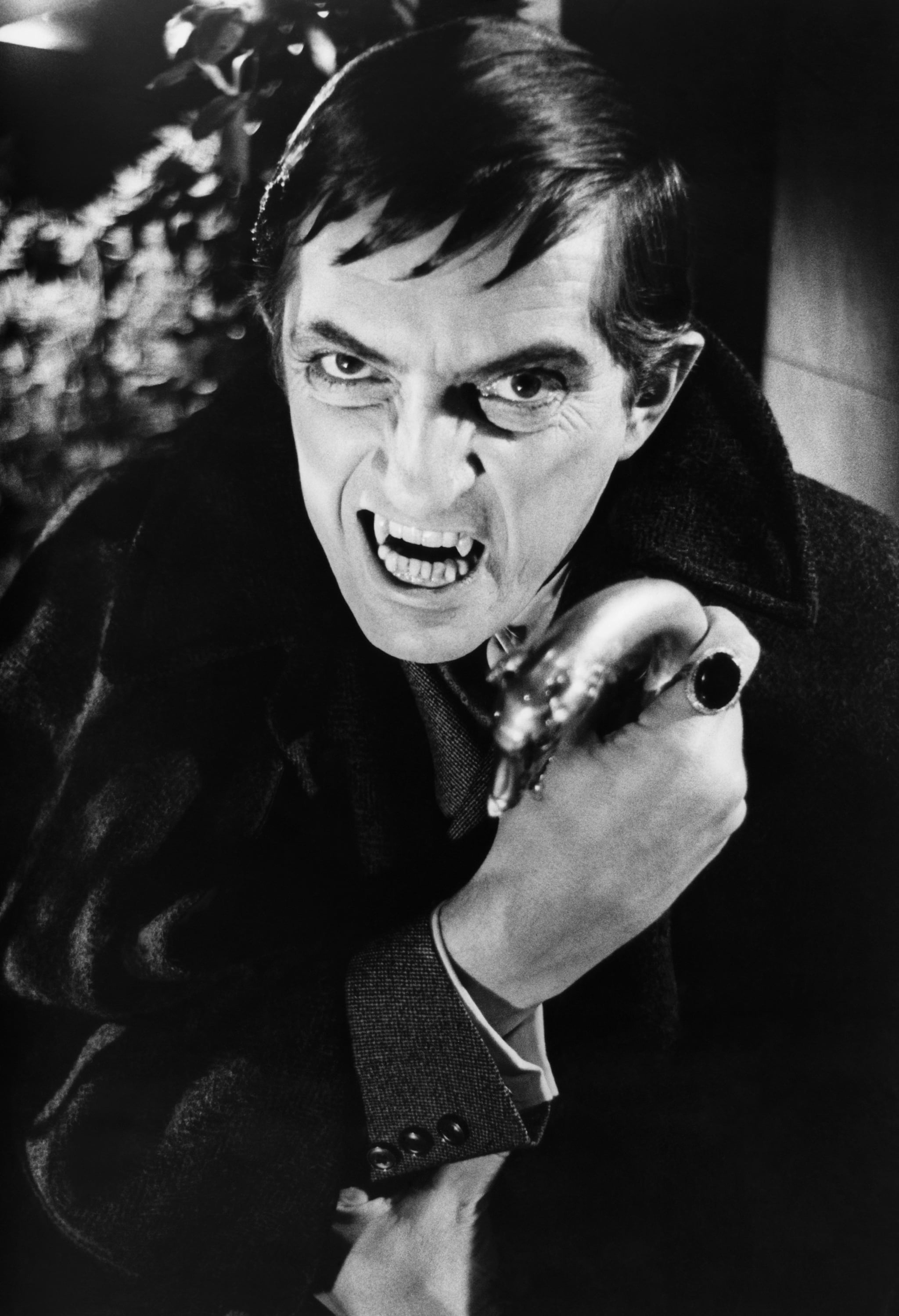 Dark Shadows 2022