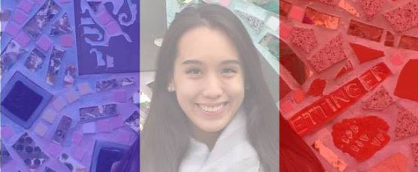 How to Change Your Facebook Profile Picture to French Flag | PS Tech